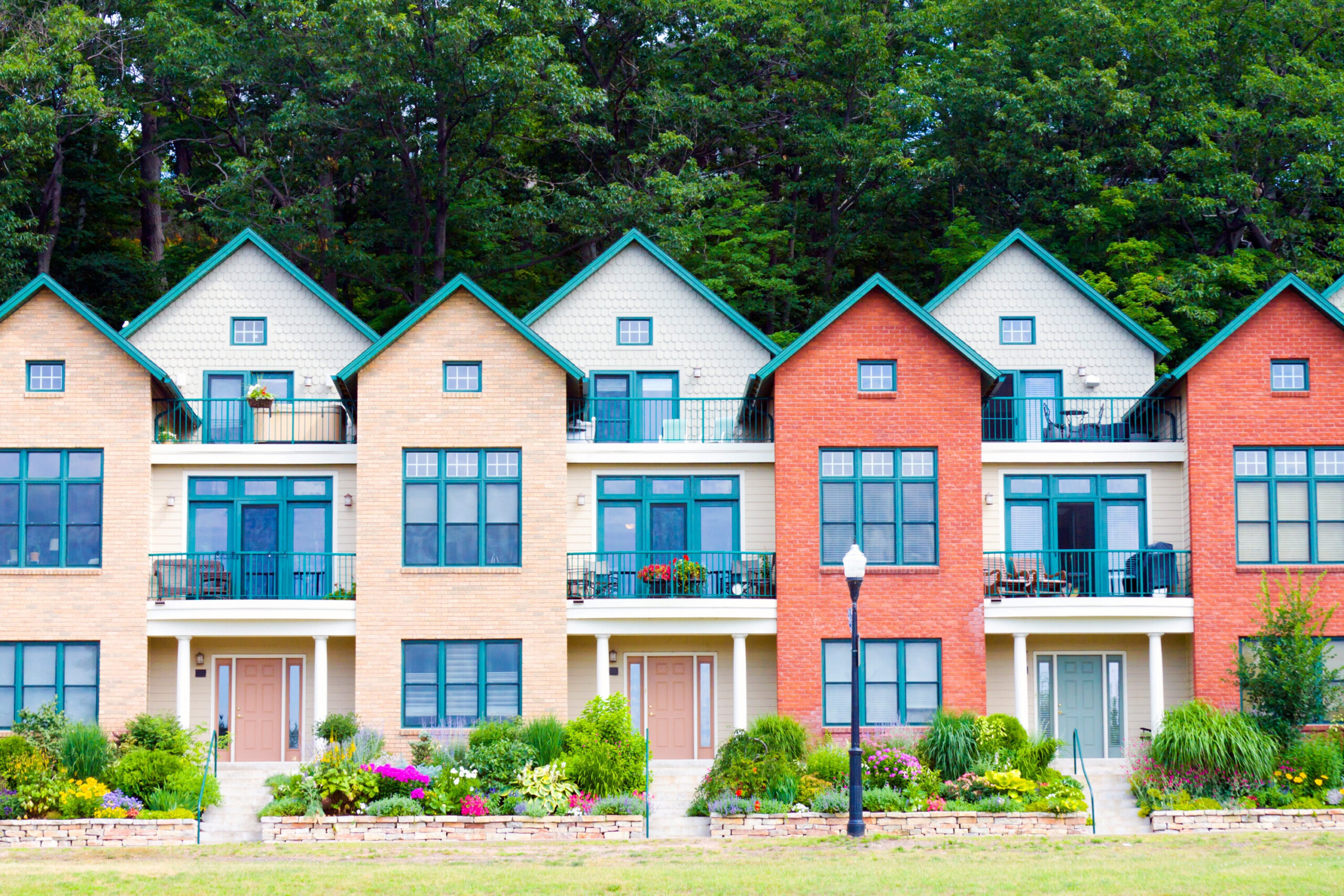 The New Landscape of Partition Actions in New York - Zarin & Steinmetz